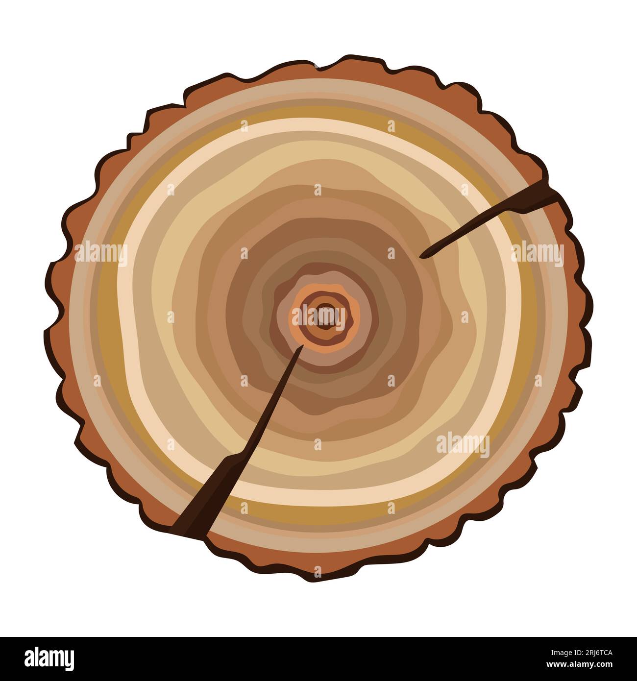 Tree stump top view, color illustration of wood Stock Vector Image ...