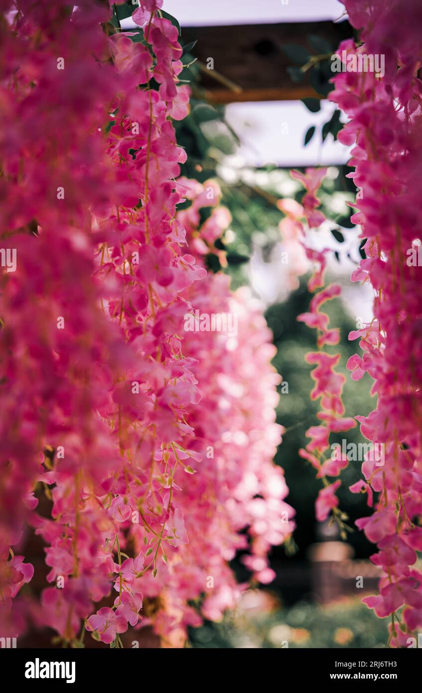 Hanging delicately hi-res stock photography and images - Alamy