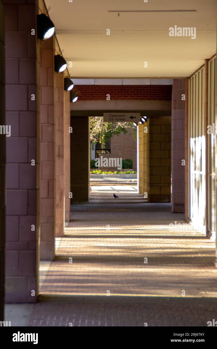 This image shows an interior view of a typical university Stock Photo ...