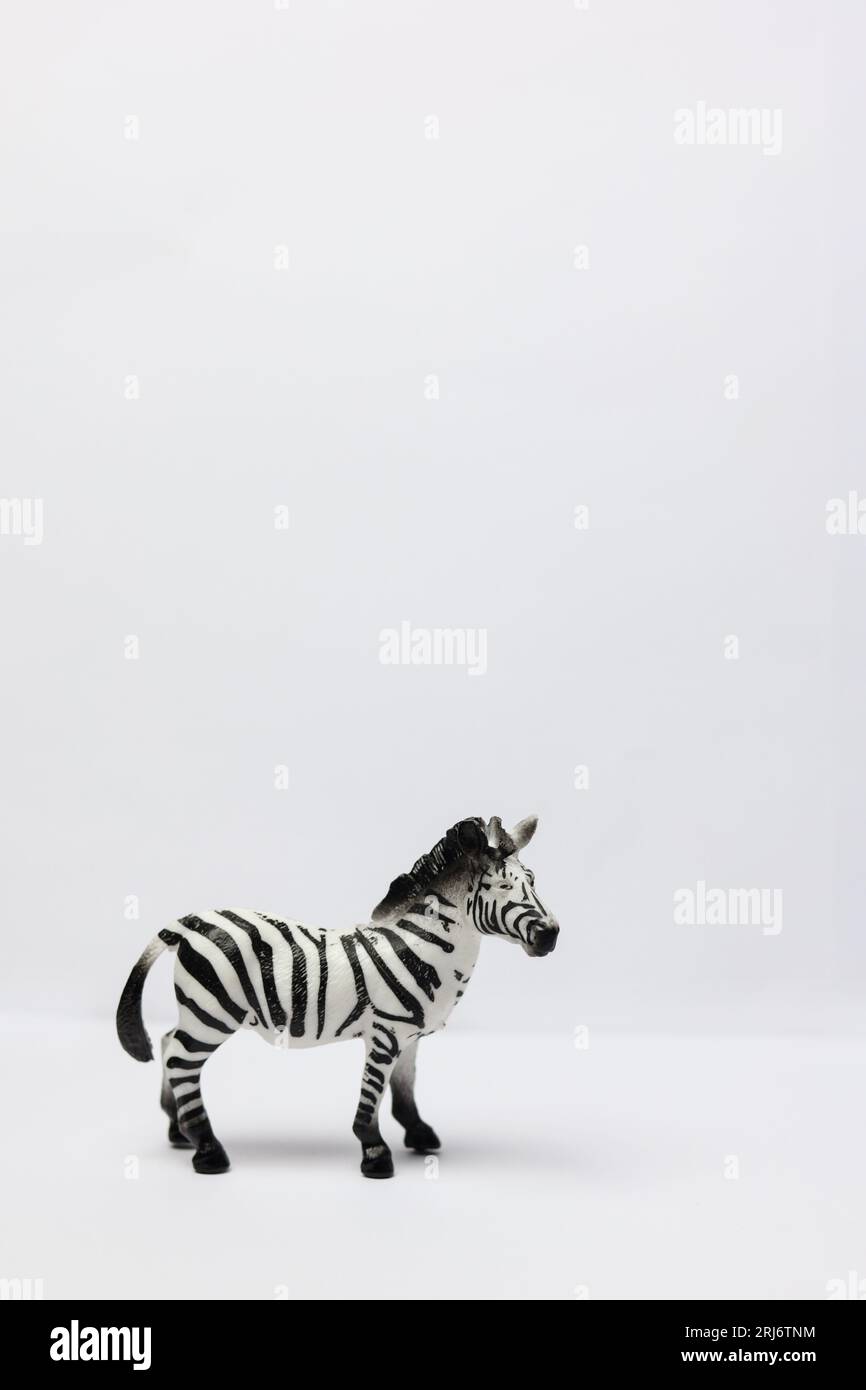 a zebra plastic toy on a white background Stock Photo - Alamy