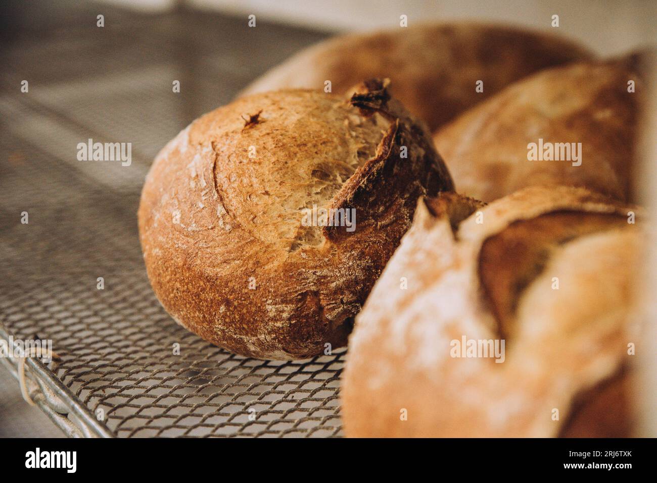 A freshly-baked loaf of bread is displayed on a metal rack, with a ...
