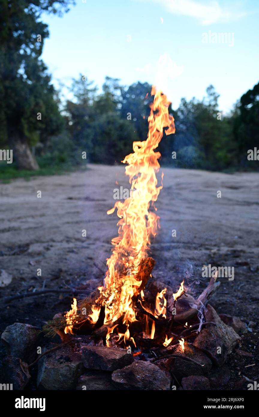 A warm and inviting beach bonfire is lit up in the night sky, creating ...