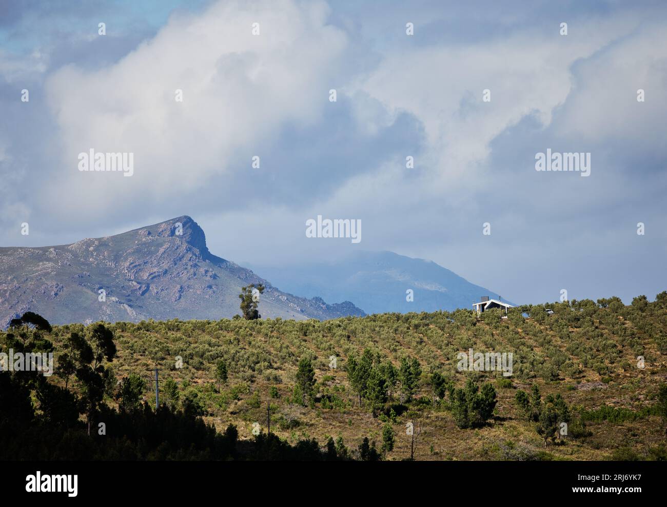 Drakenstein mountains hi-res stock photography and images - Alamy