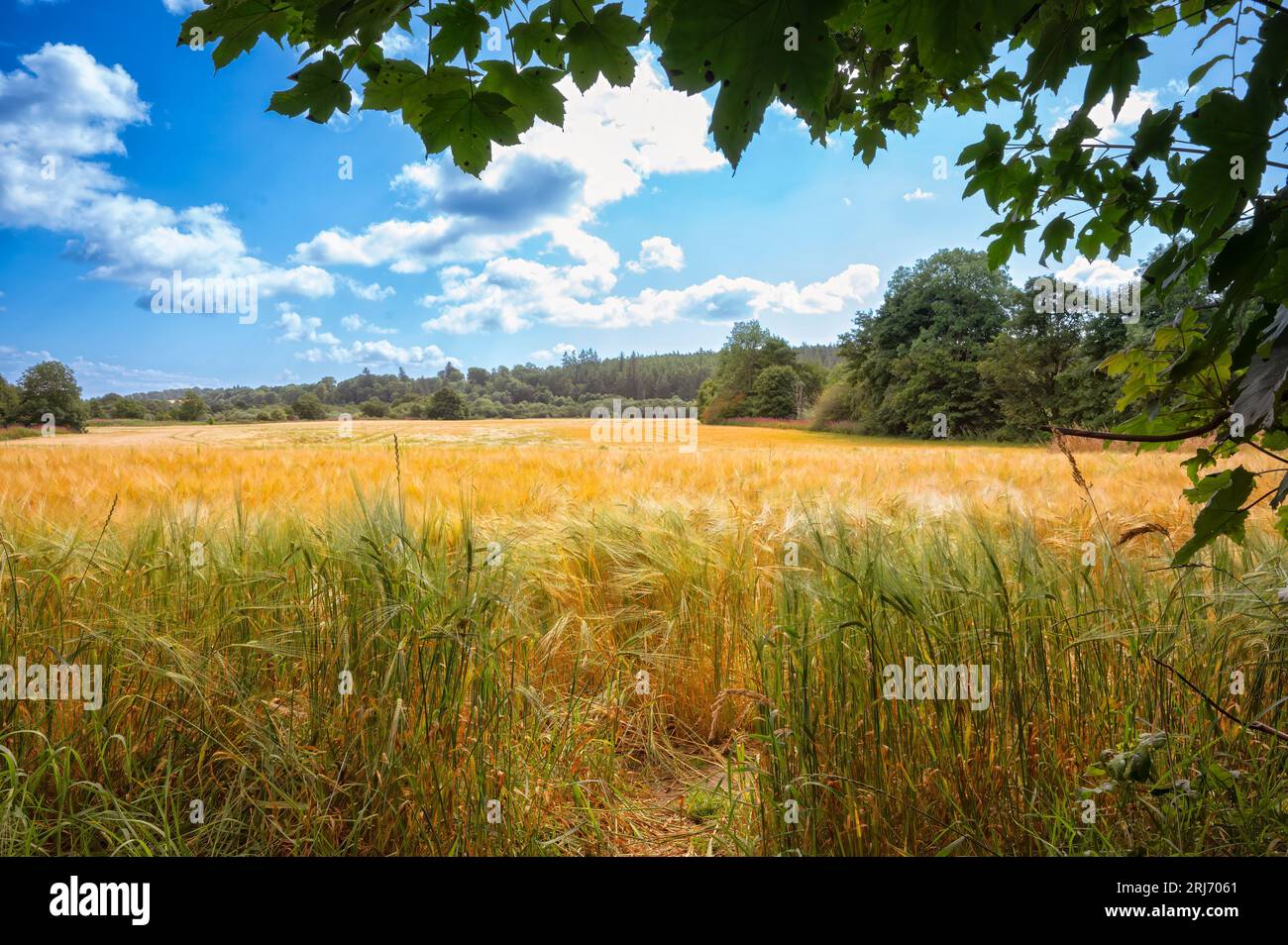 Late summer in Beauly Stock Photo - Alamy