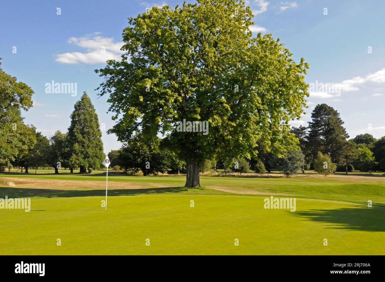 View over 8th Green, Ashford Manor Golf Club, Ashford, Middlesex ...