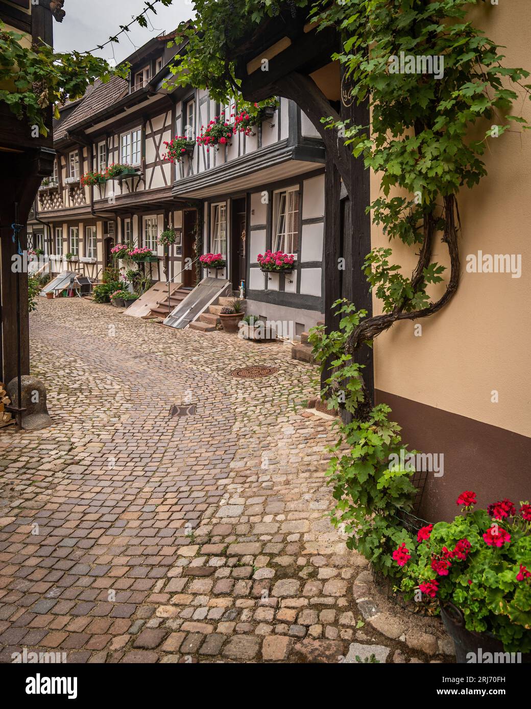 A vertical shot of Typical half-timbered houses lined along a ...