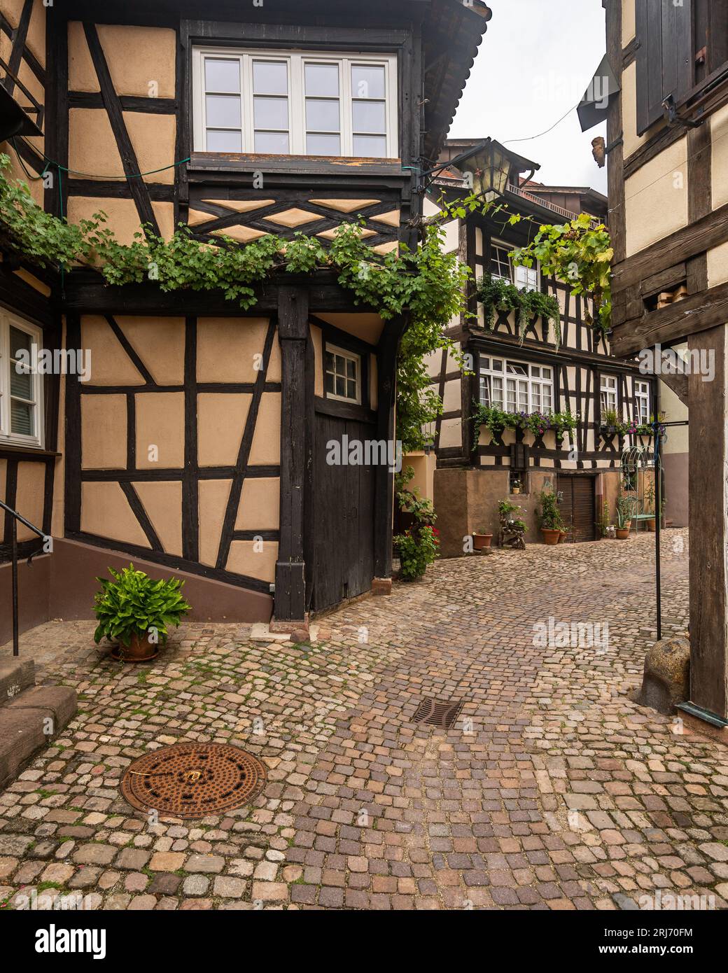 A vertical shot of Typical half-timbered houses lined along a ...