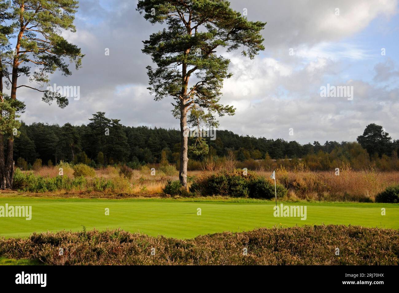 Hankley common golf club hi-res stock photography and images - Alamy