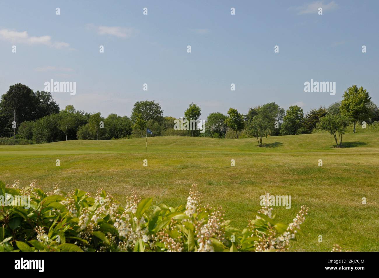 View over Wild Flowers to 9th Green, Mardyke Valley Golf Club, South ...
