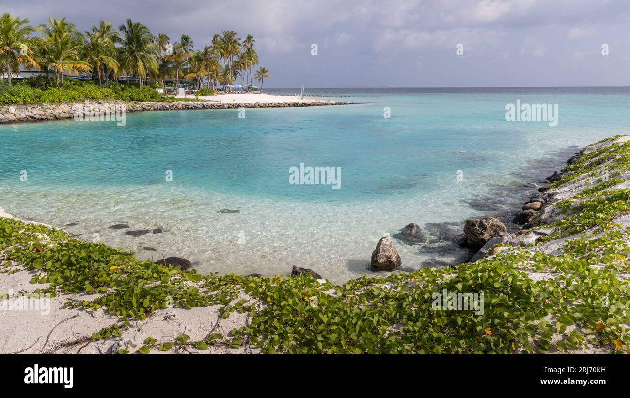 A picturesque view of a stunning beach with the crystal-clear blue ...