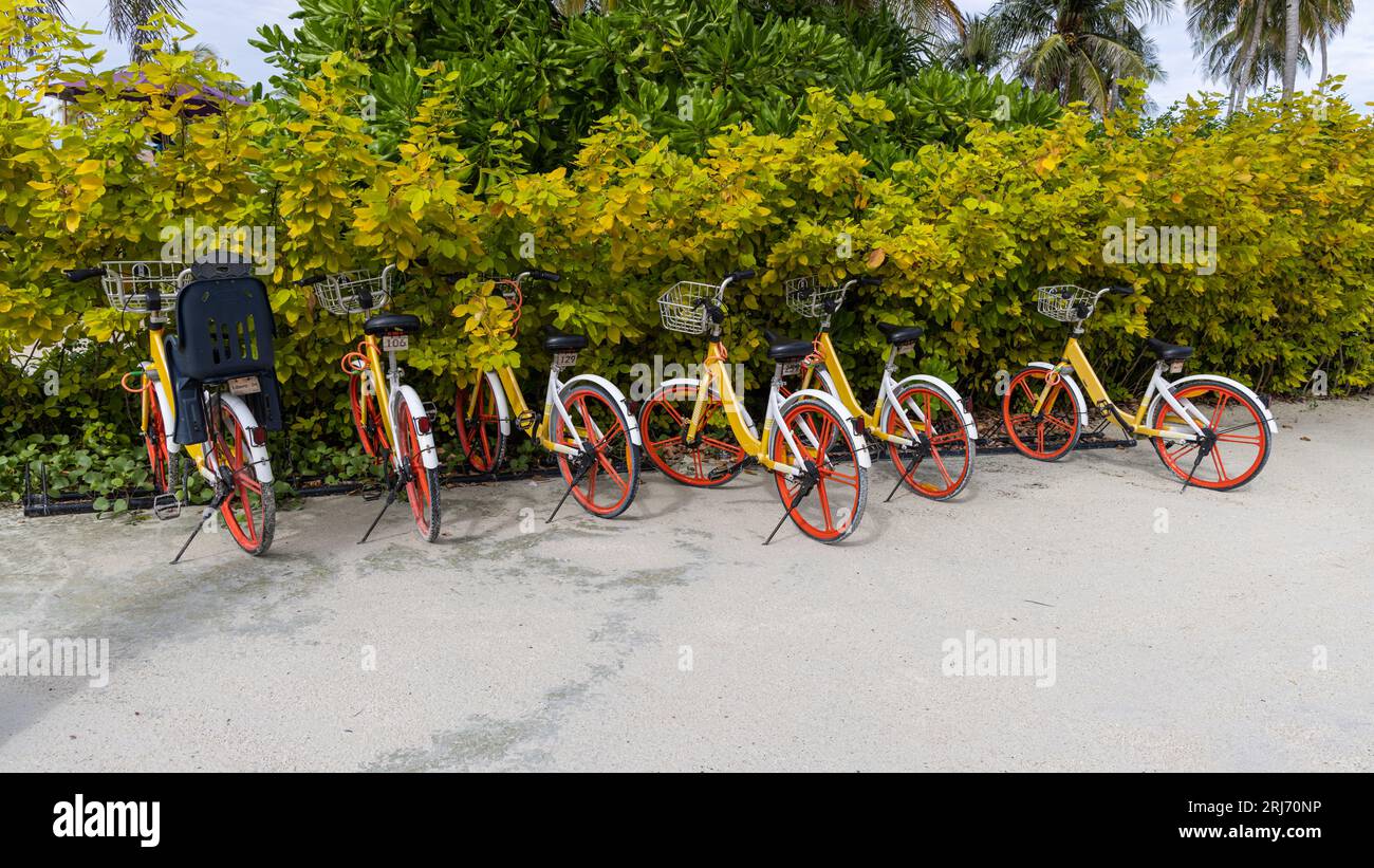 Line bicycles hi-res stock photography and images - Alamy