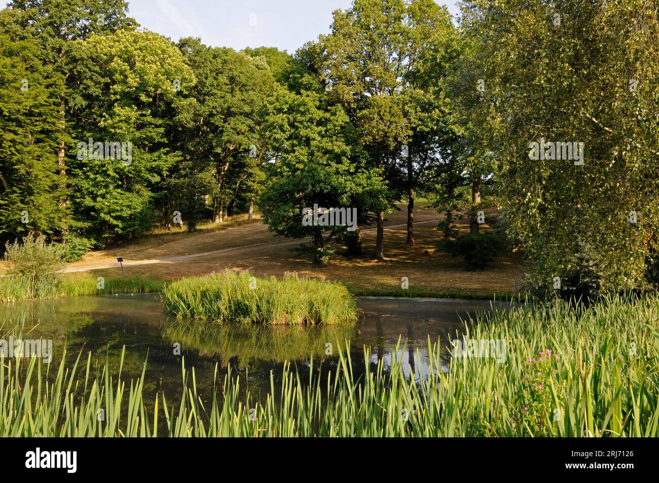 Warren pond hi-res stock photography and images - Alamy