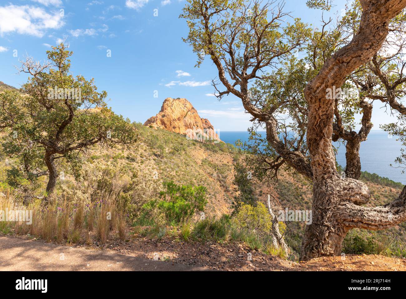 Magnificent red-colored rocks and peaks in Cap Roux, Cote d'Azur, in ...