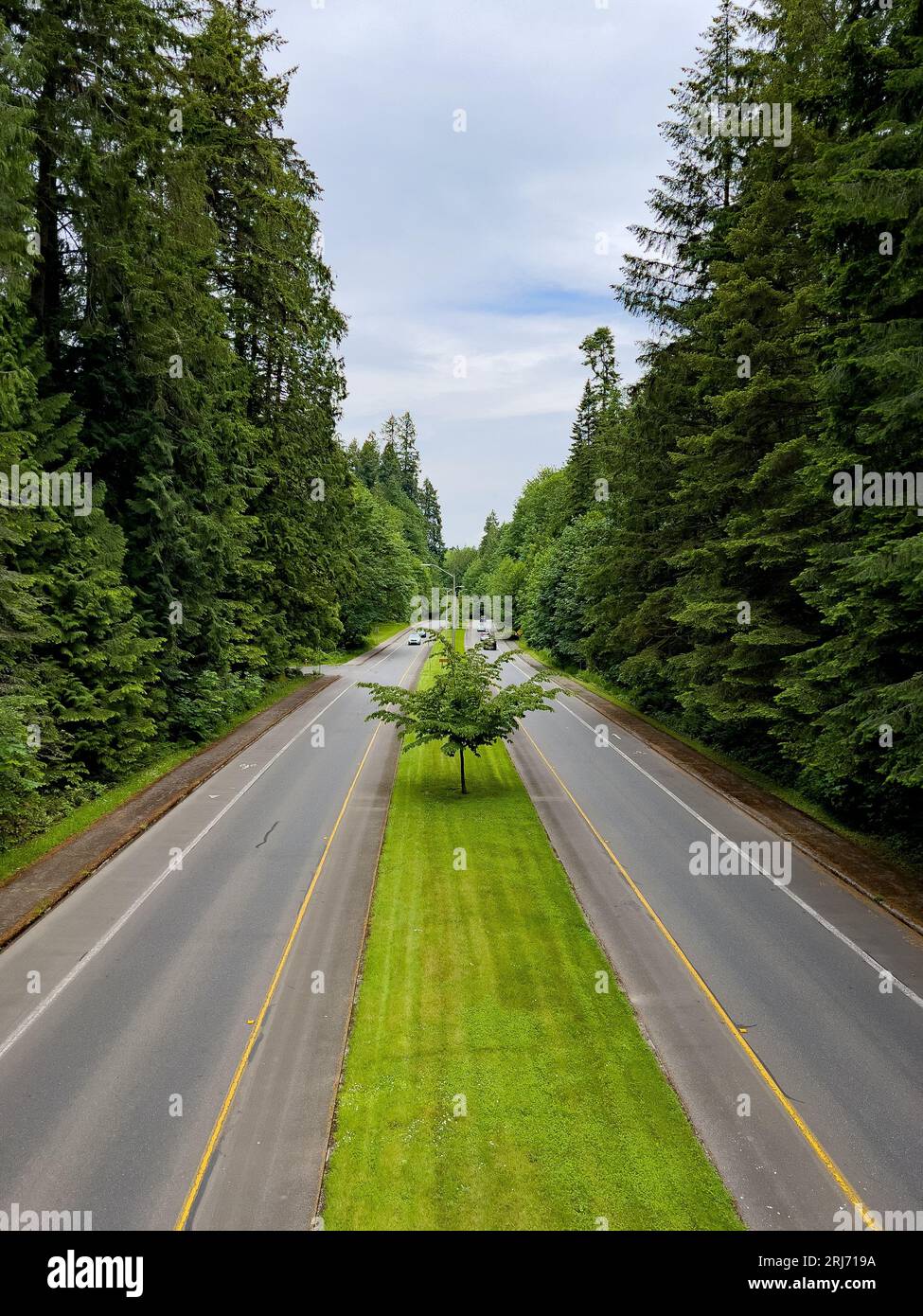 A scenic view of East Bay Drive located in Priest Point Park, featuring ...