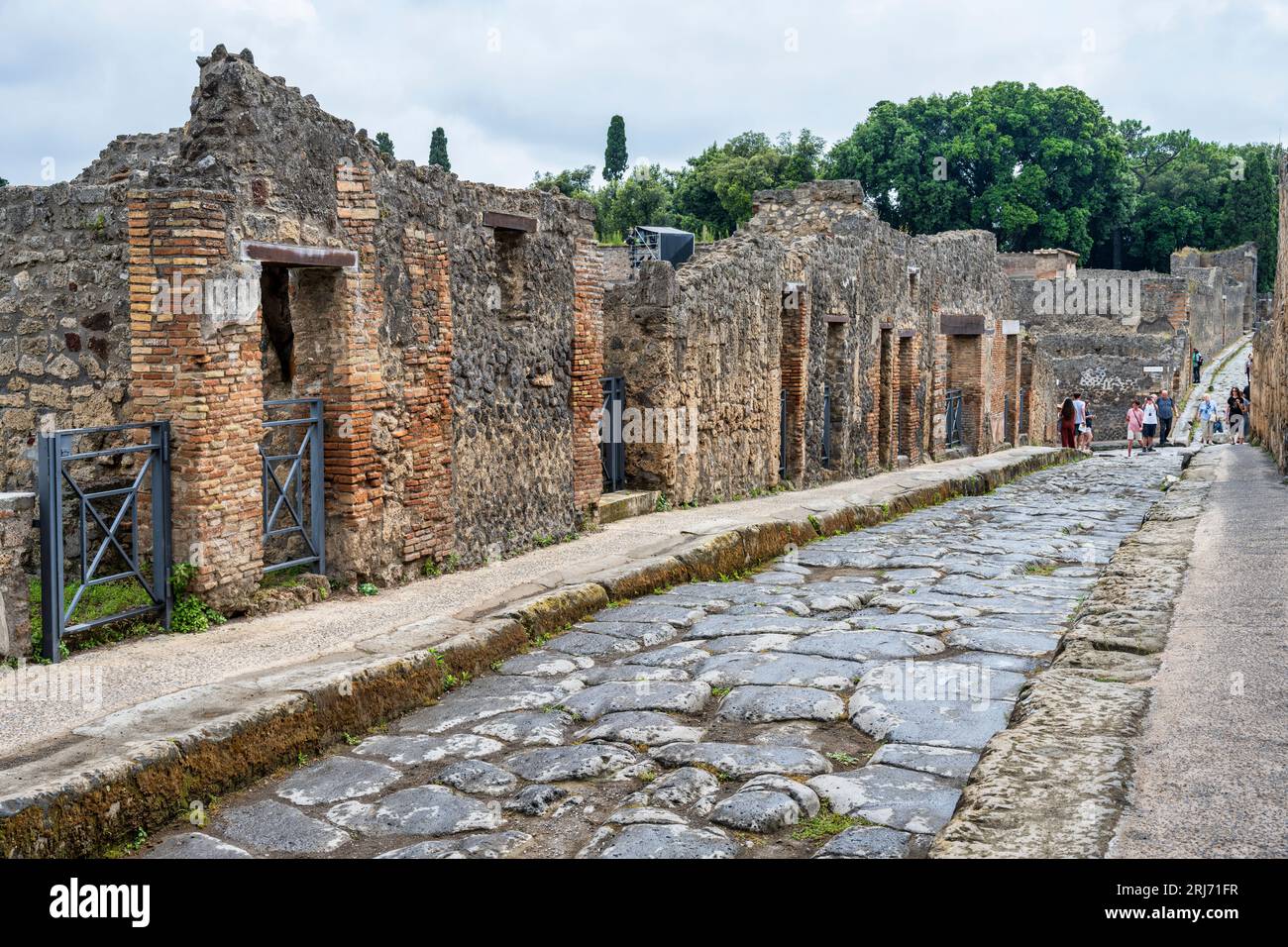 Shop fronts and houses on the east side of Via Stabiana in the ruins of ...