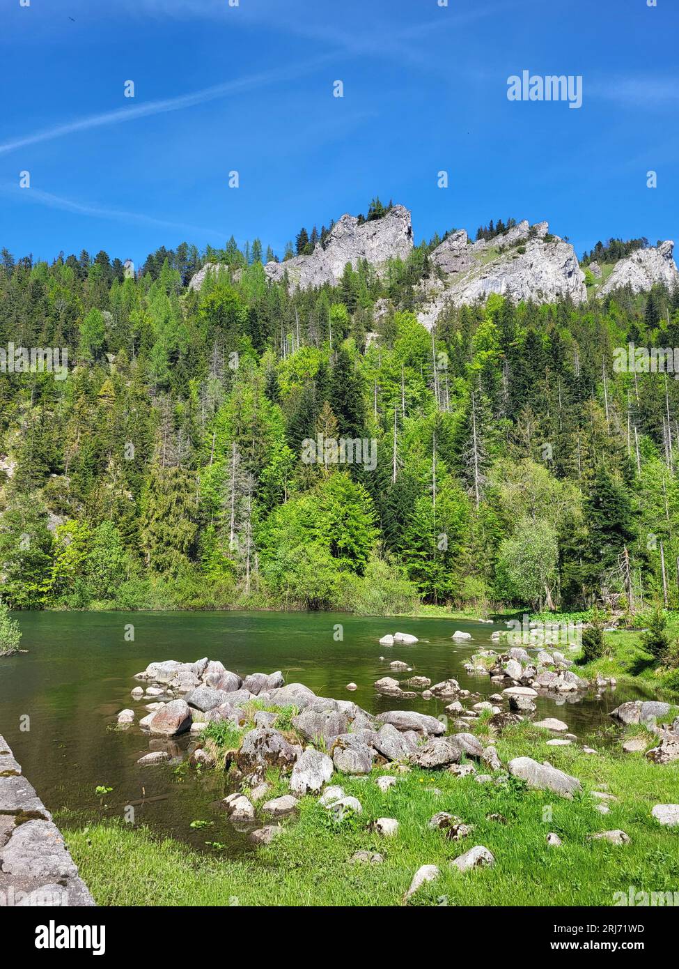 A beautiful landscape featuring green forests and mountains under the ...