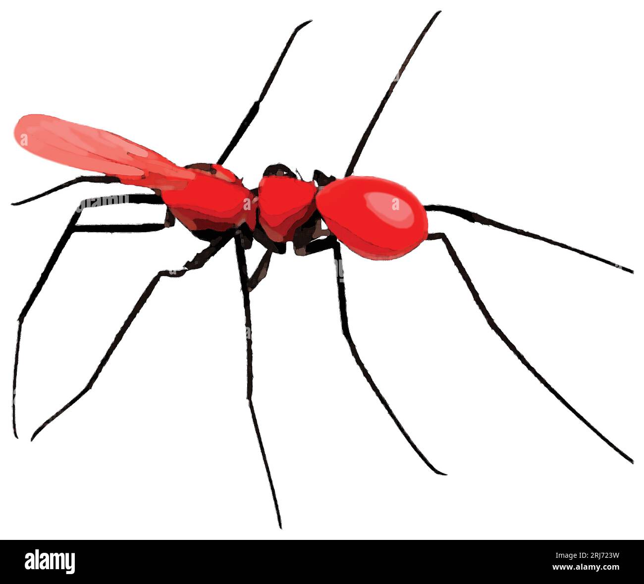 Ant mouth Stock Vector Images - Alamy