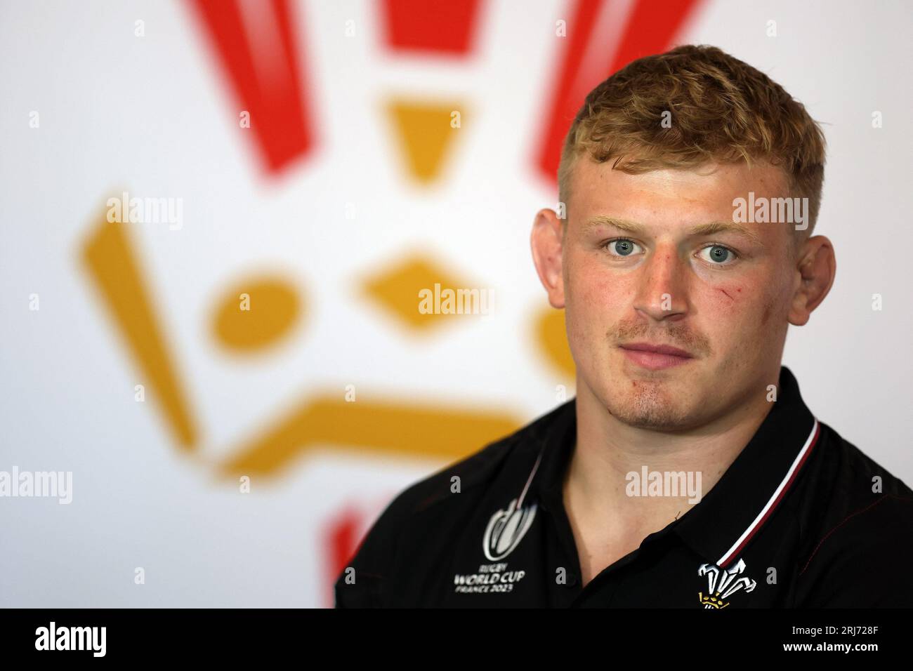 Jac morgan august 2023 hi-res stock photography and images - Alamy