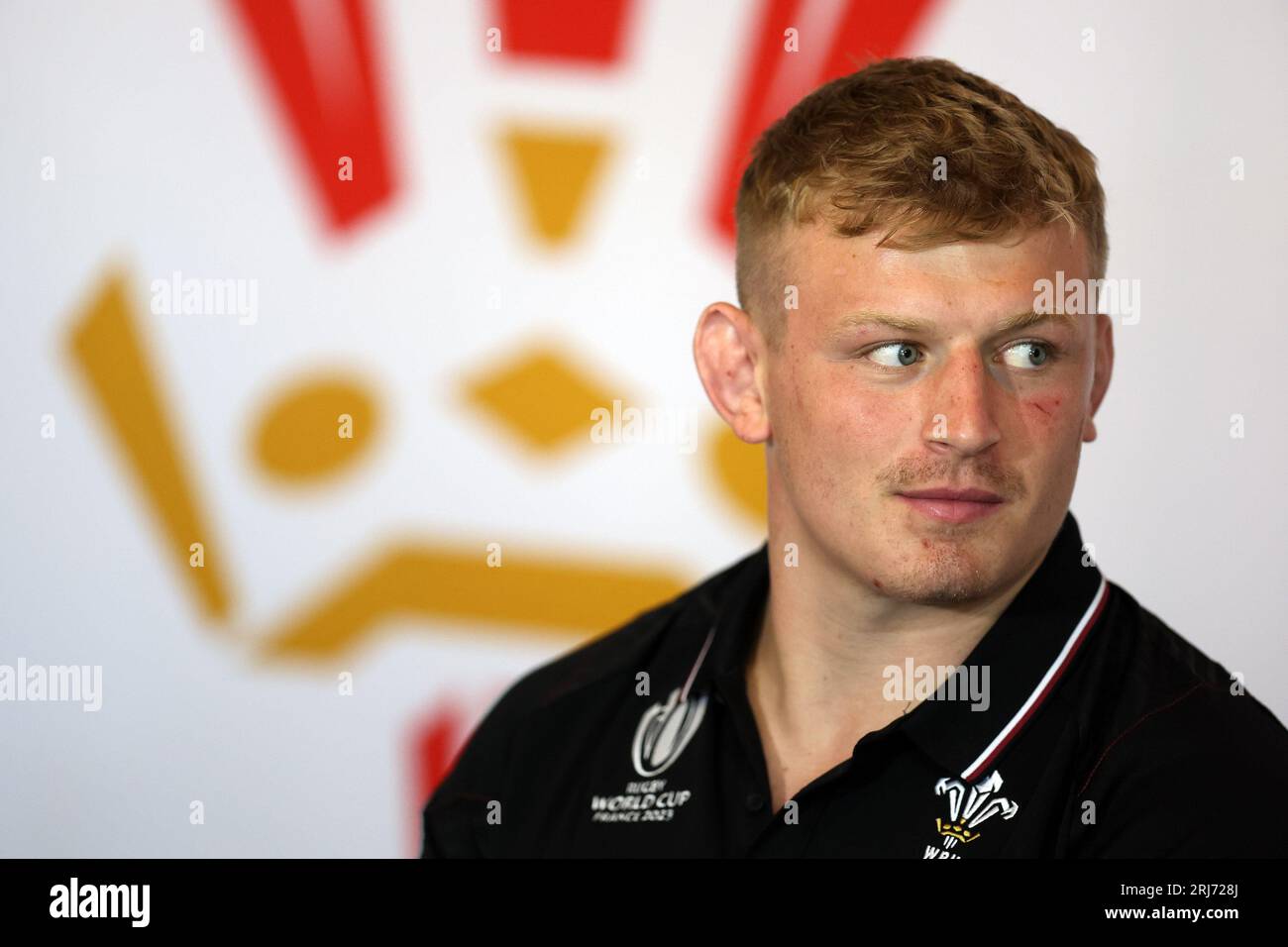 Jac morgan august 2023 hi-res stock photography and images - Alamy