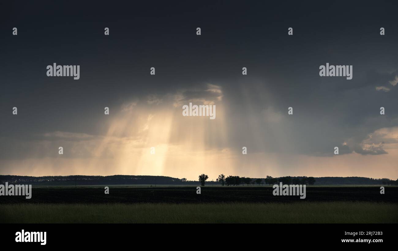 A majestic scene of a sun-drenched landscape featuring a single tree ...