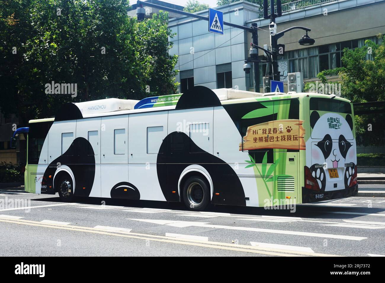 A bus bearing panda outlook runs on the route to the zoo, where two new ...