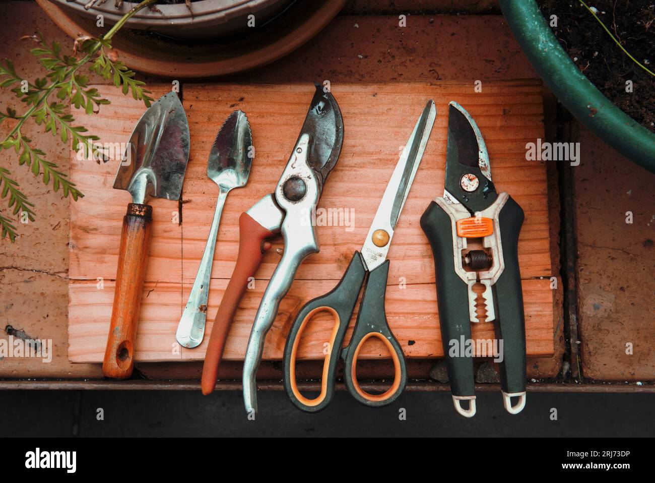 A variety of gardening tools and supplies are arranged in an outdoor ...