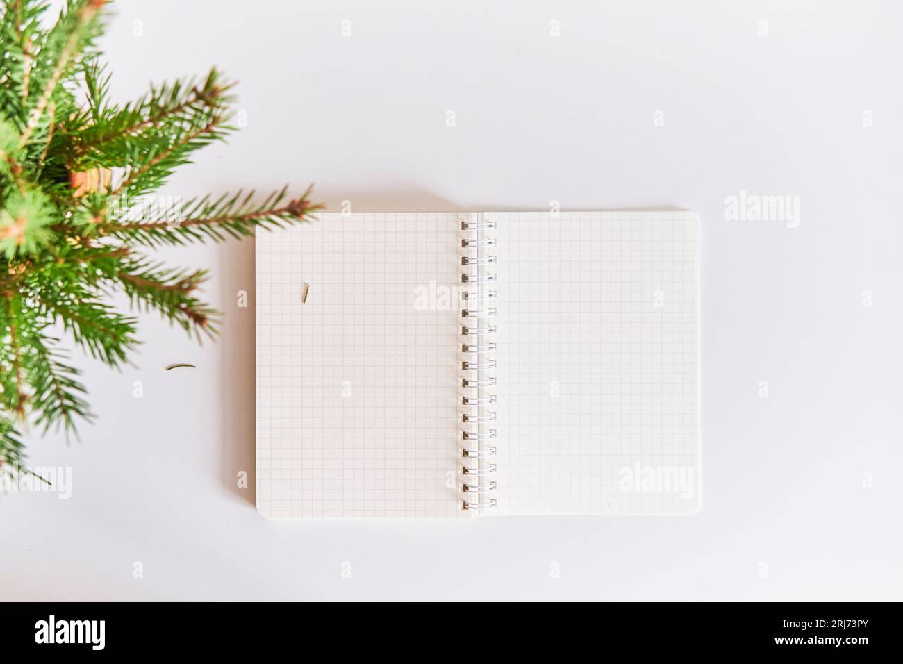 Blank sheets of opened checkered notepad, christmas tree branches ...