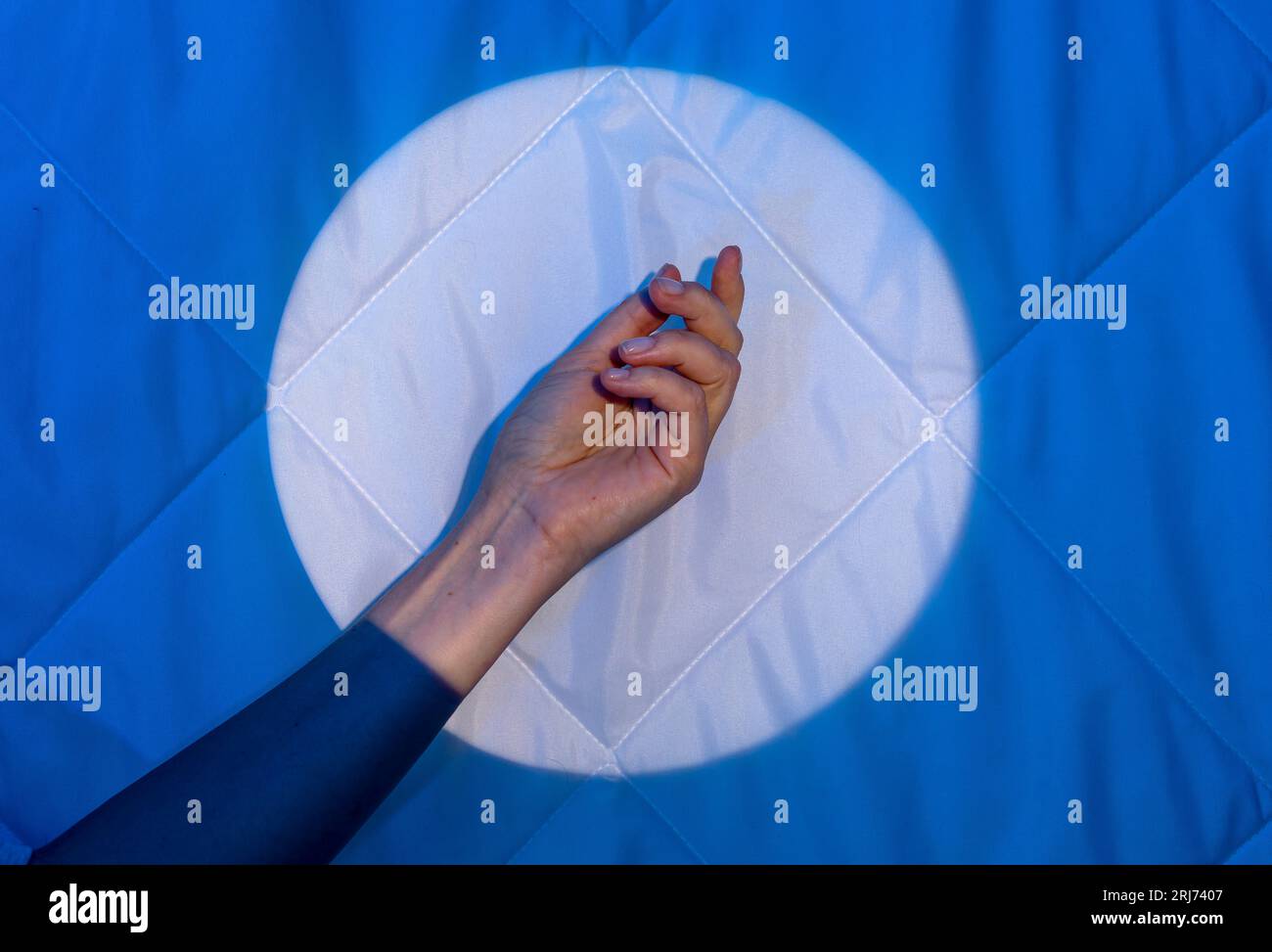 Guiding the Night: And Bathed in Moonlight Explores Melatonin's Battle ...