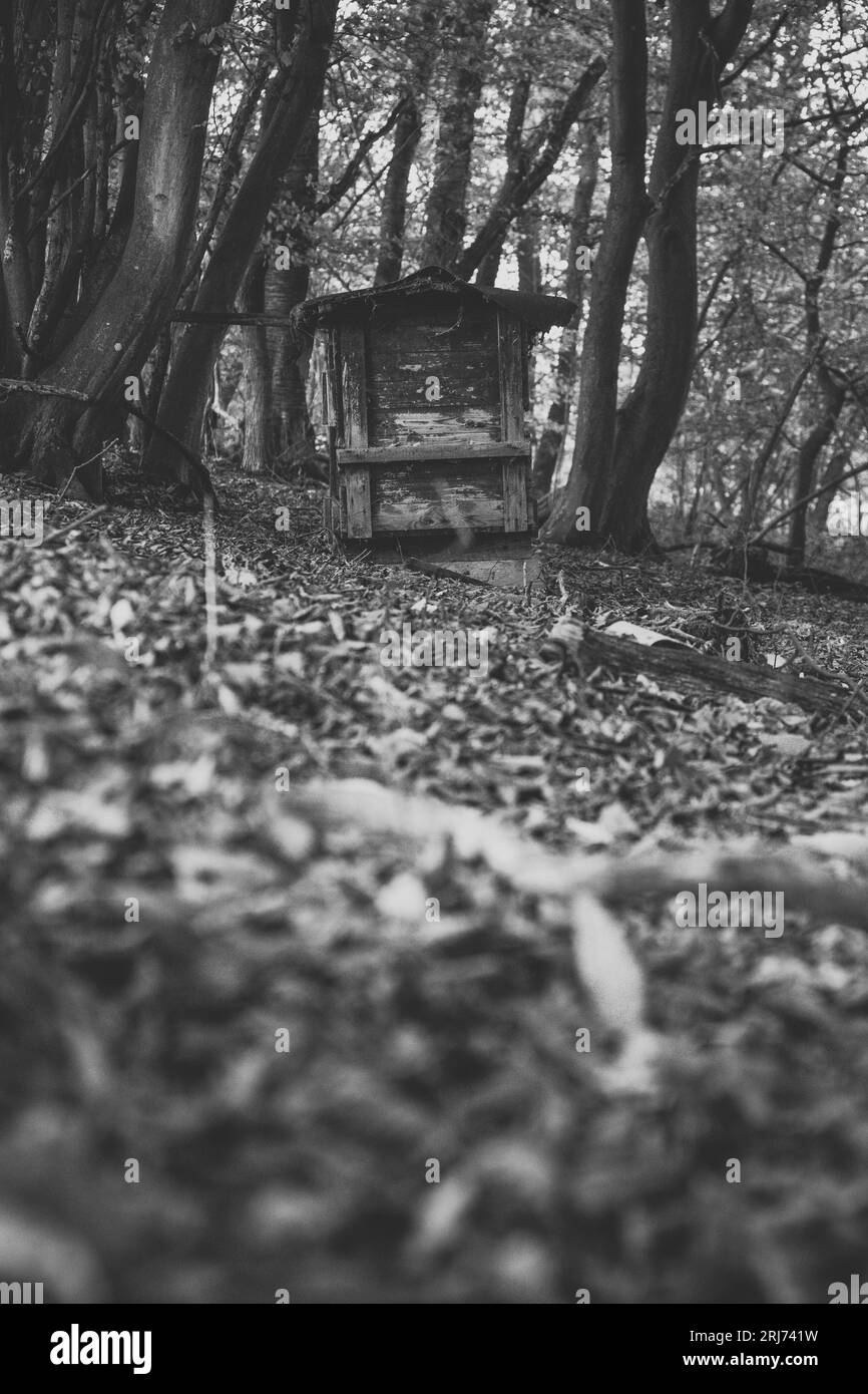 Landscape in rural setting Black and White Stock Photos & Images - Alamy