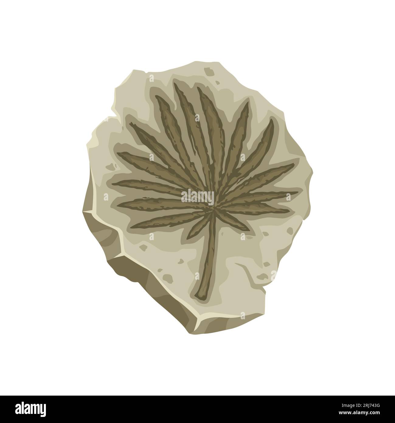 Plant fossil, ancient stone palm leaf imprint, vector Jurassic tropical ...