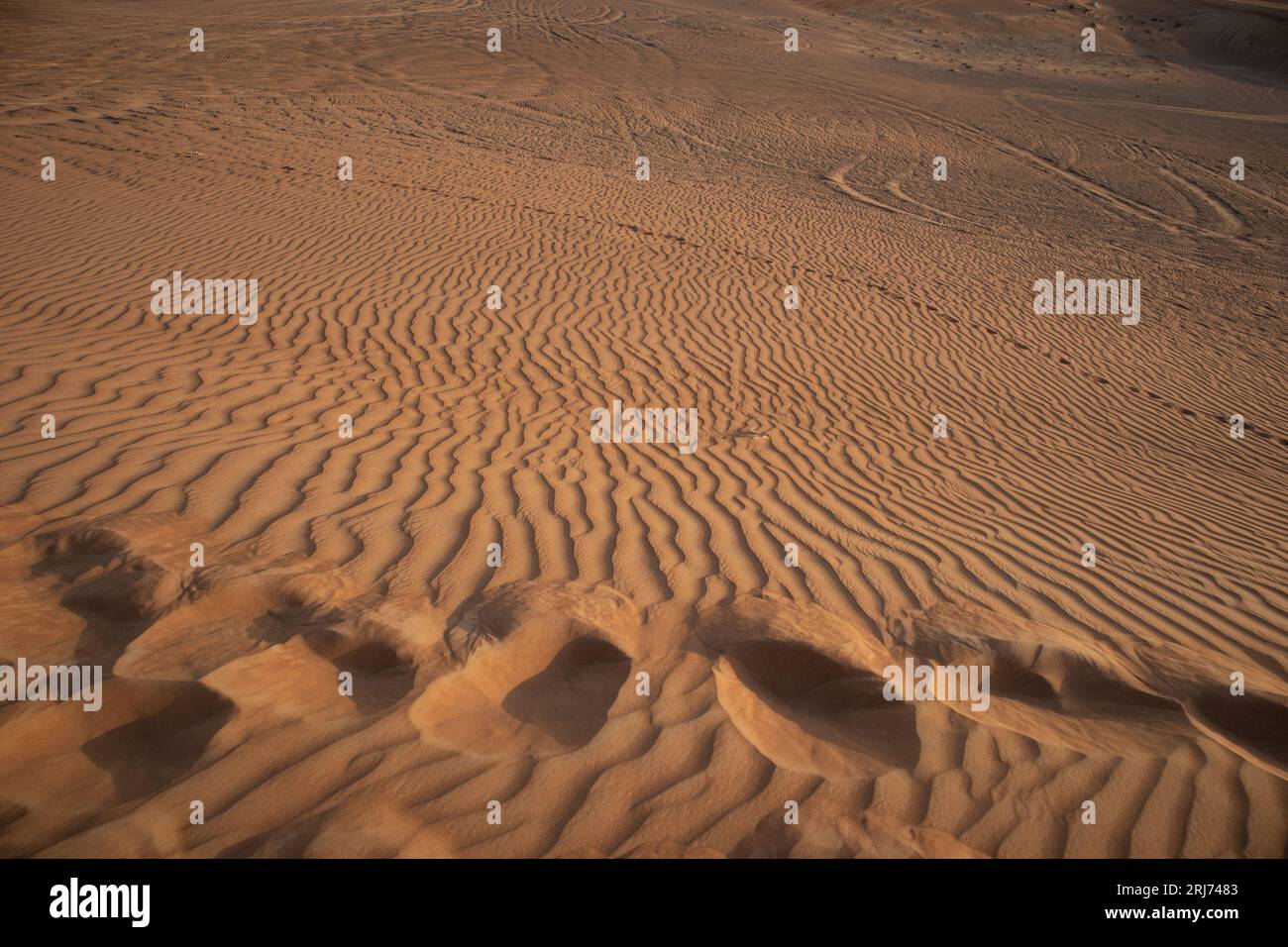 The footprints of an unknown individual in the sandy desert Stock Photo ...