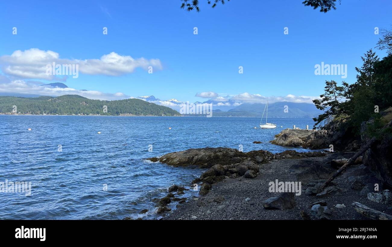 A stunning view of the blue sea with a sailboat surrounded by green ...