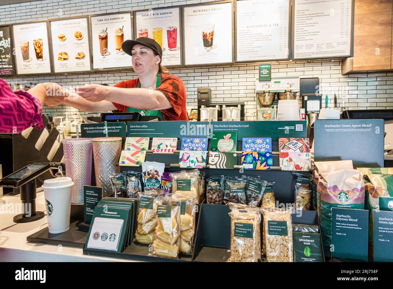 Charlotte North Carolina,Starbucks Coffee,barista woman women lady ...