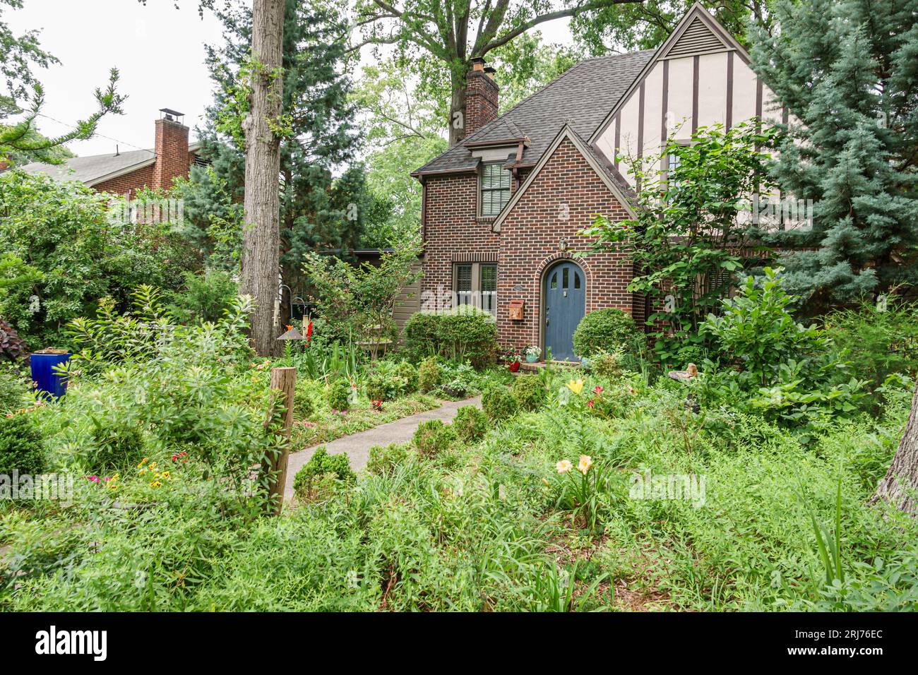 Myers park charlotte hi-res stock photography and images - Alamy