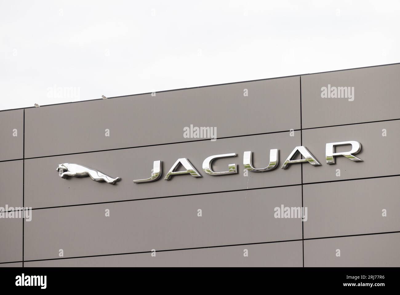 Signs and symbols, a Jaguar logo Stock Photo - Alamy