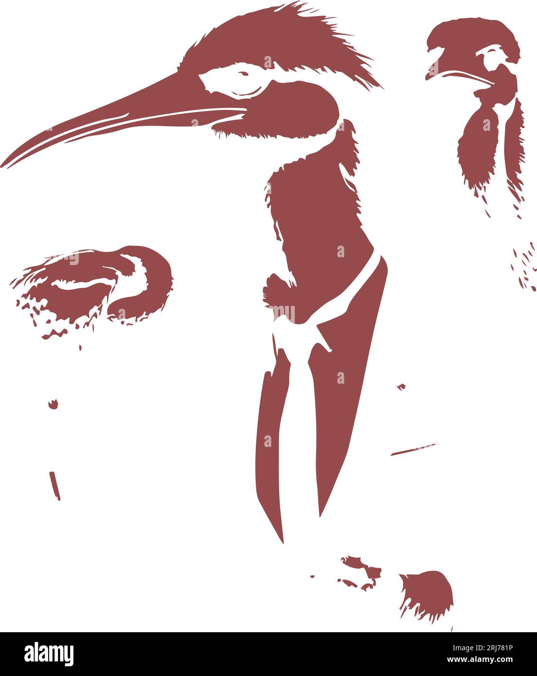 Bird curious Cut Out Stock Images & Pictures - Alamy