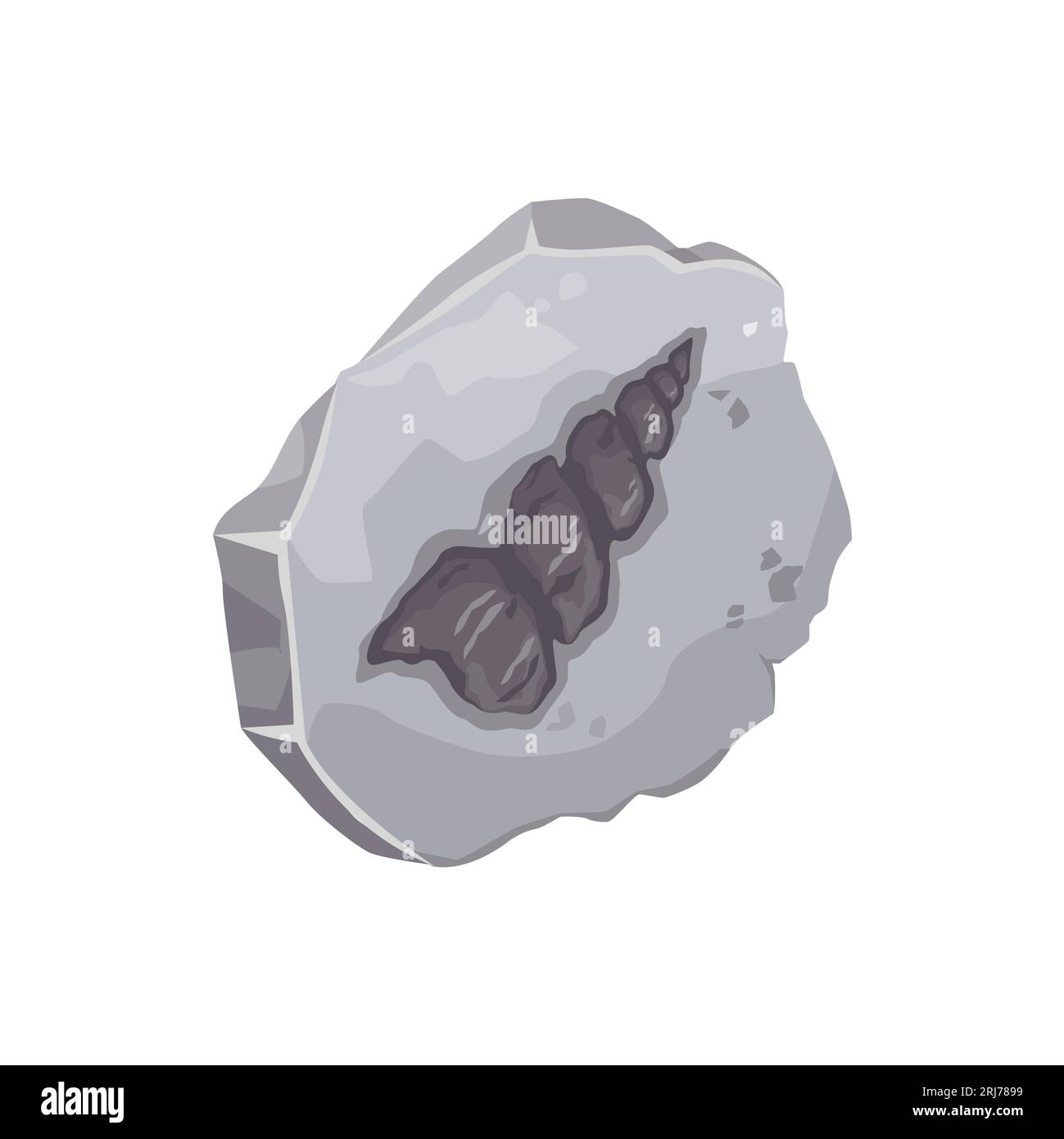 Sea snail trail Stock Vector Images - Alamy