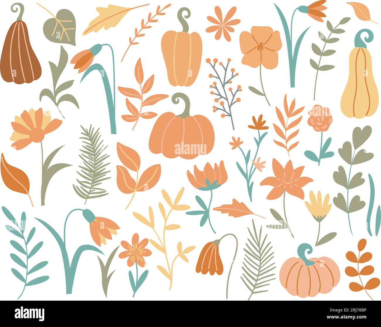 Botanical garden pumpkins Stock Vector Images - Alamy