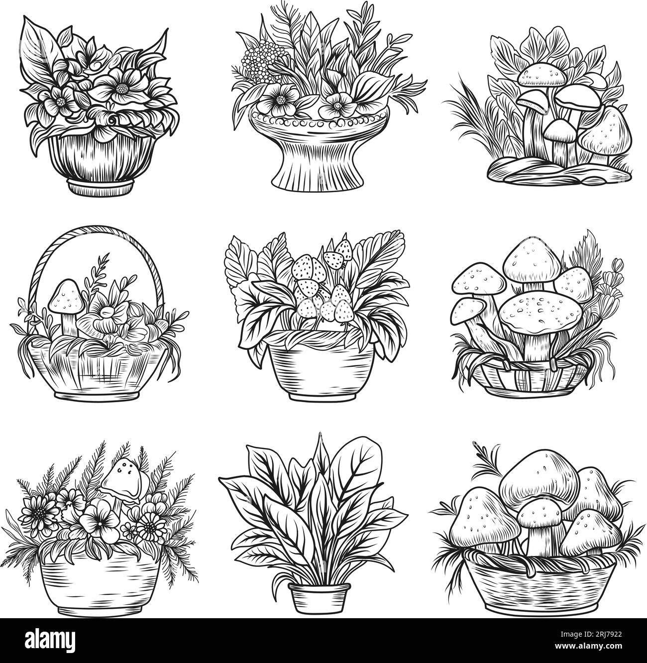 leaf fall coloring page. Autumn composition with a basket of mushrooms ...
