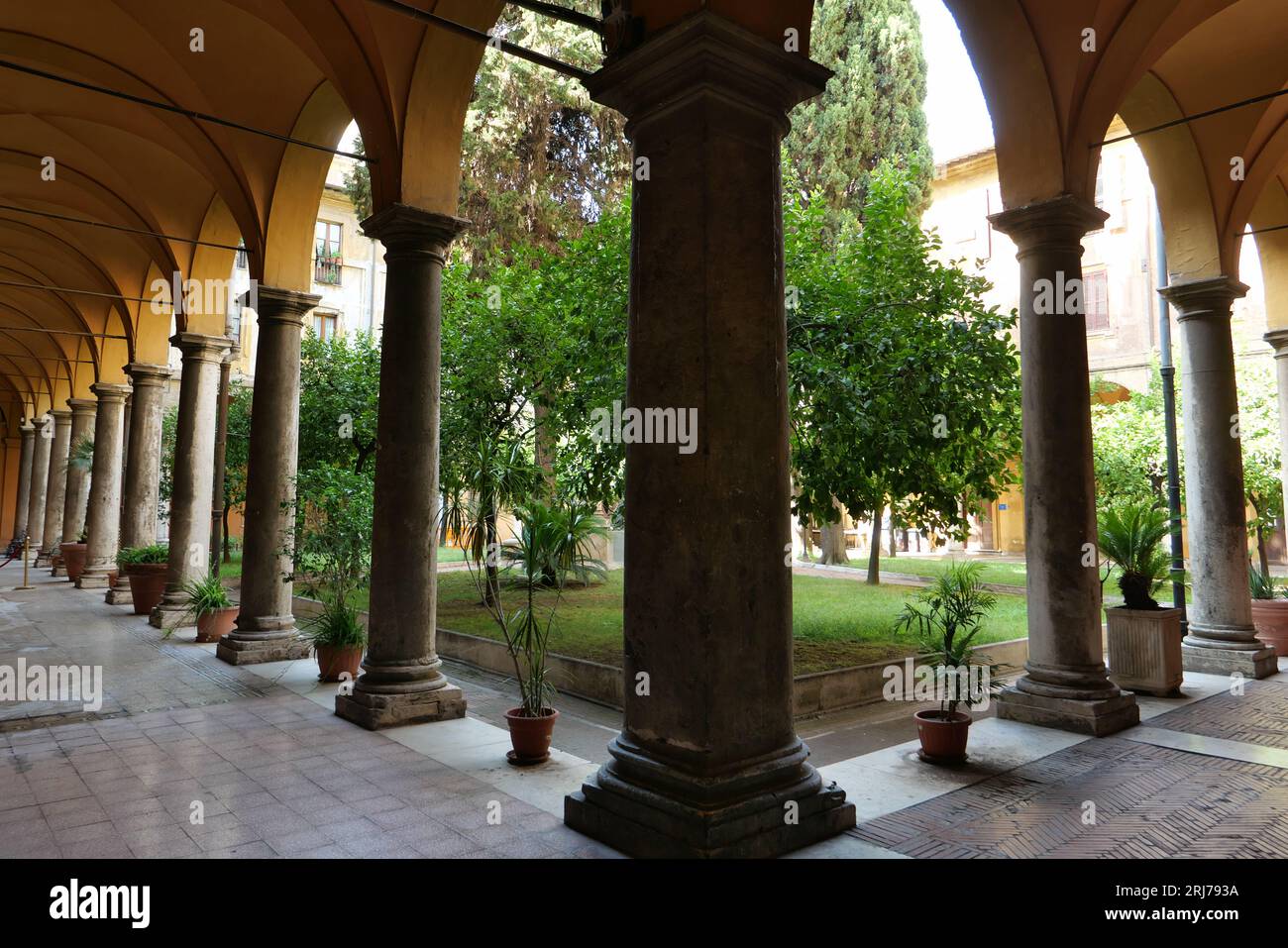 CLOISTER WITH COLUMNS INSIDE THE CHURCH OF SANT ANDREA DELLE FRATTE ...
