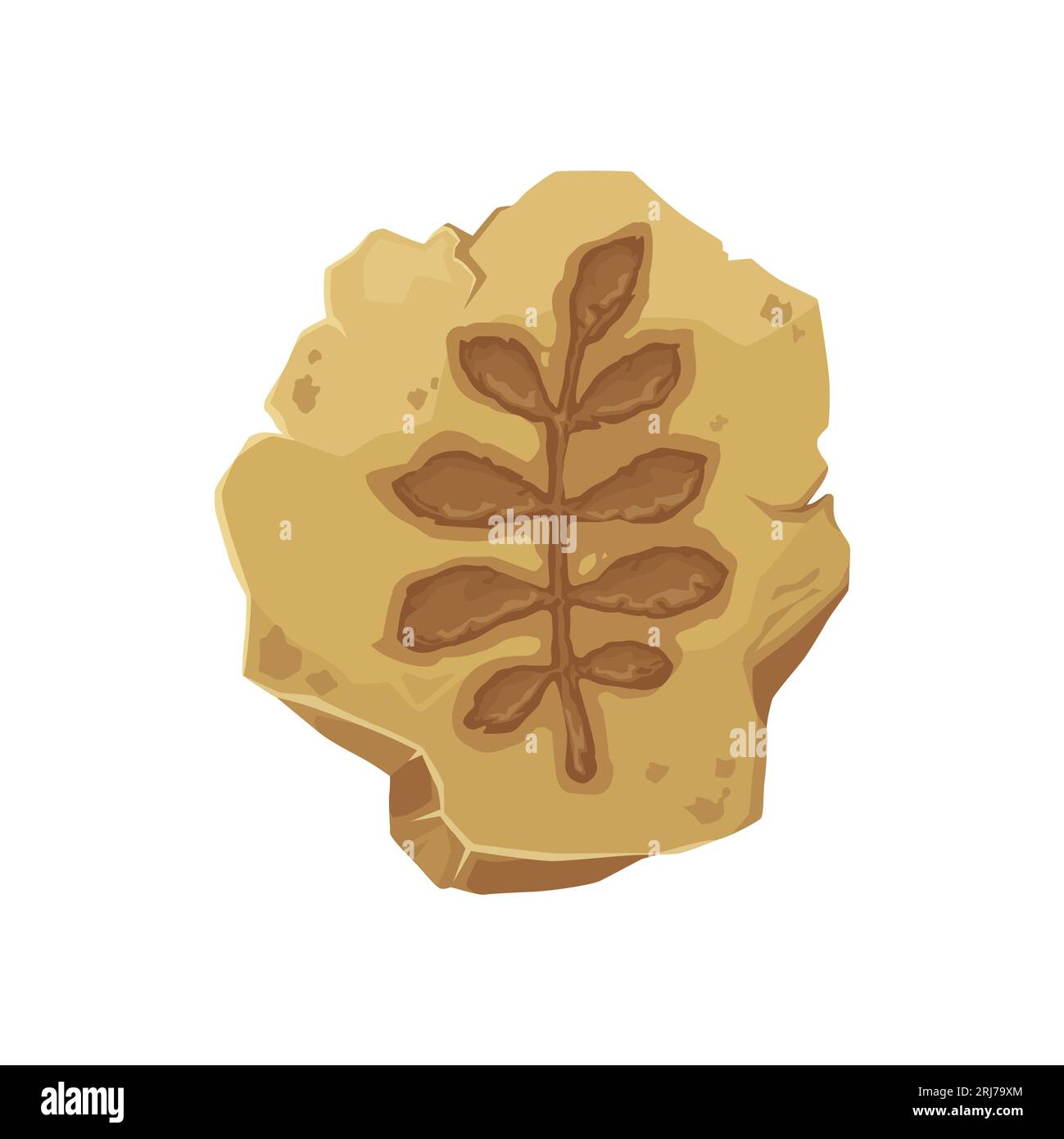 Fern fossil, ancient stone plant leaf imprint. Vector silhouette of ...