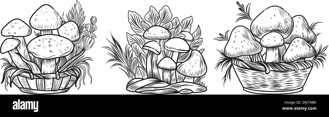 Mushrooms coloring page. Autumn composition linear illustration.Autumn ...