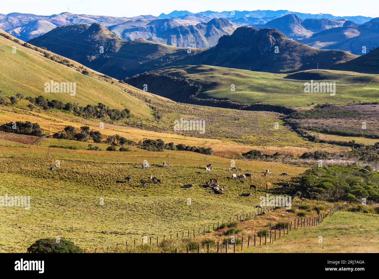 Green rural landscapes in Colombian mountains, South America Stock ...