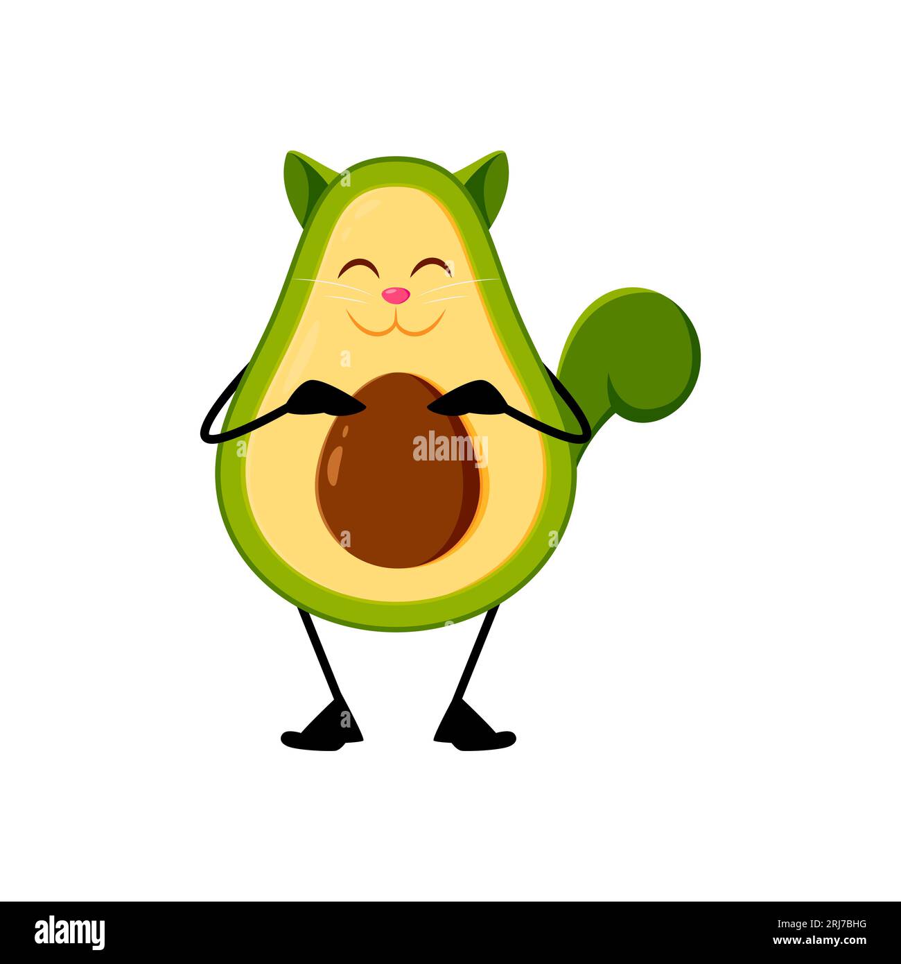 Cartoon mexican avocado avocat character. Isolated vector playful ...