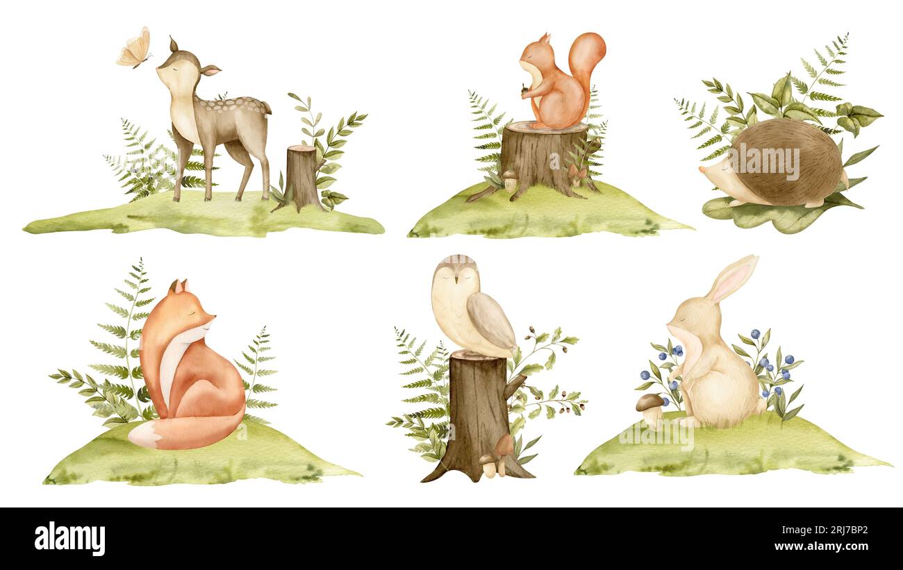 Woodland animals in a forest. Hand drawn watercolor illustration of ...