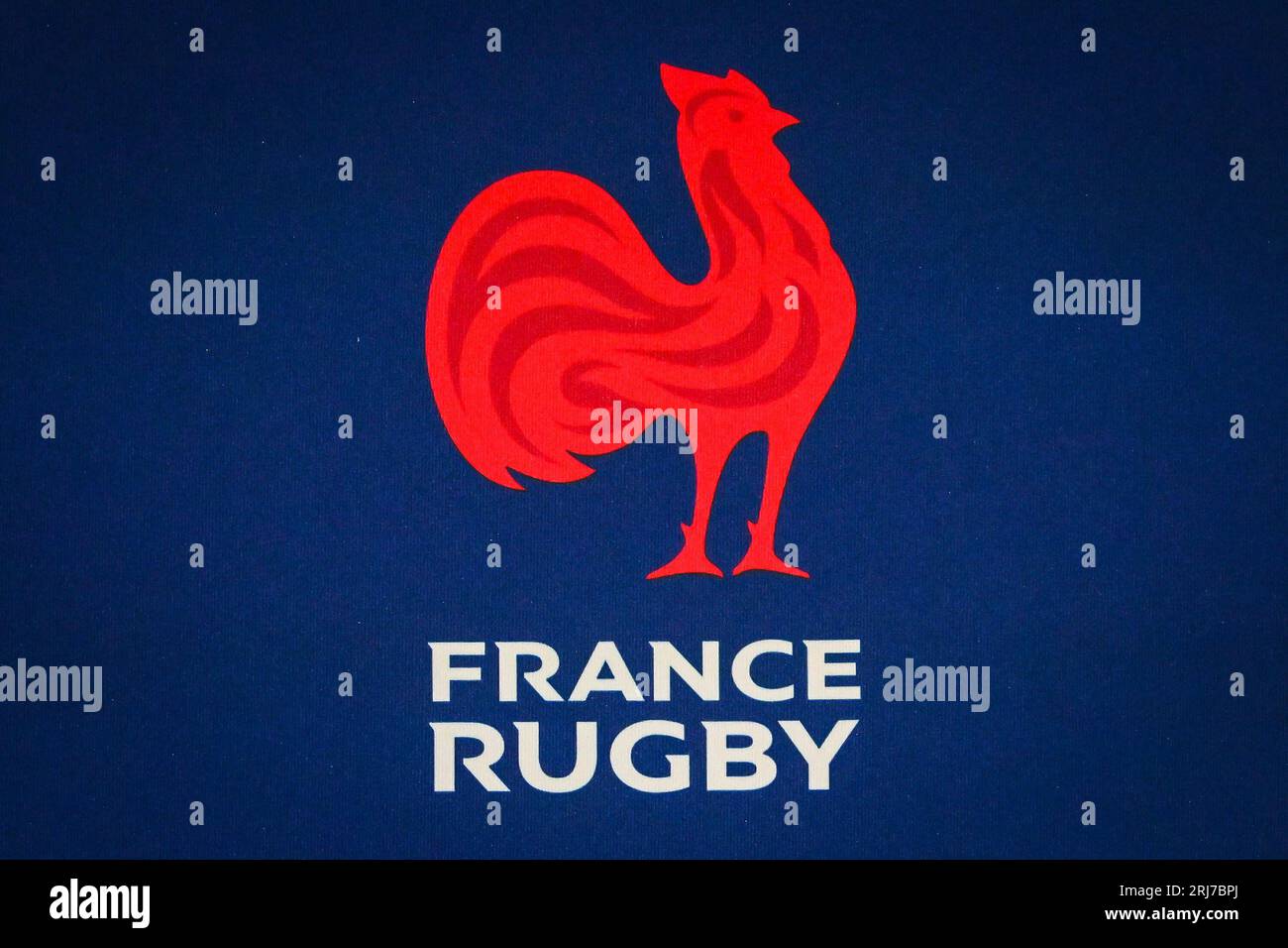 Illustration of the official France Rugby logo during the press ...