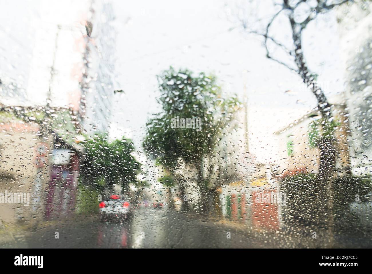 View from inside a car of the rainy and cold street in the city of ...