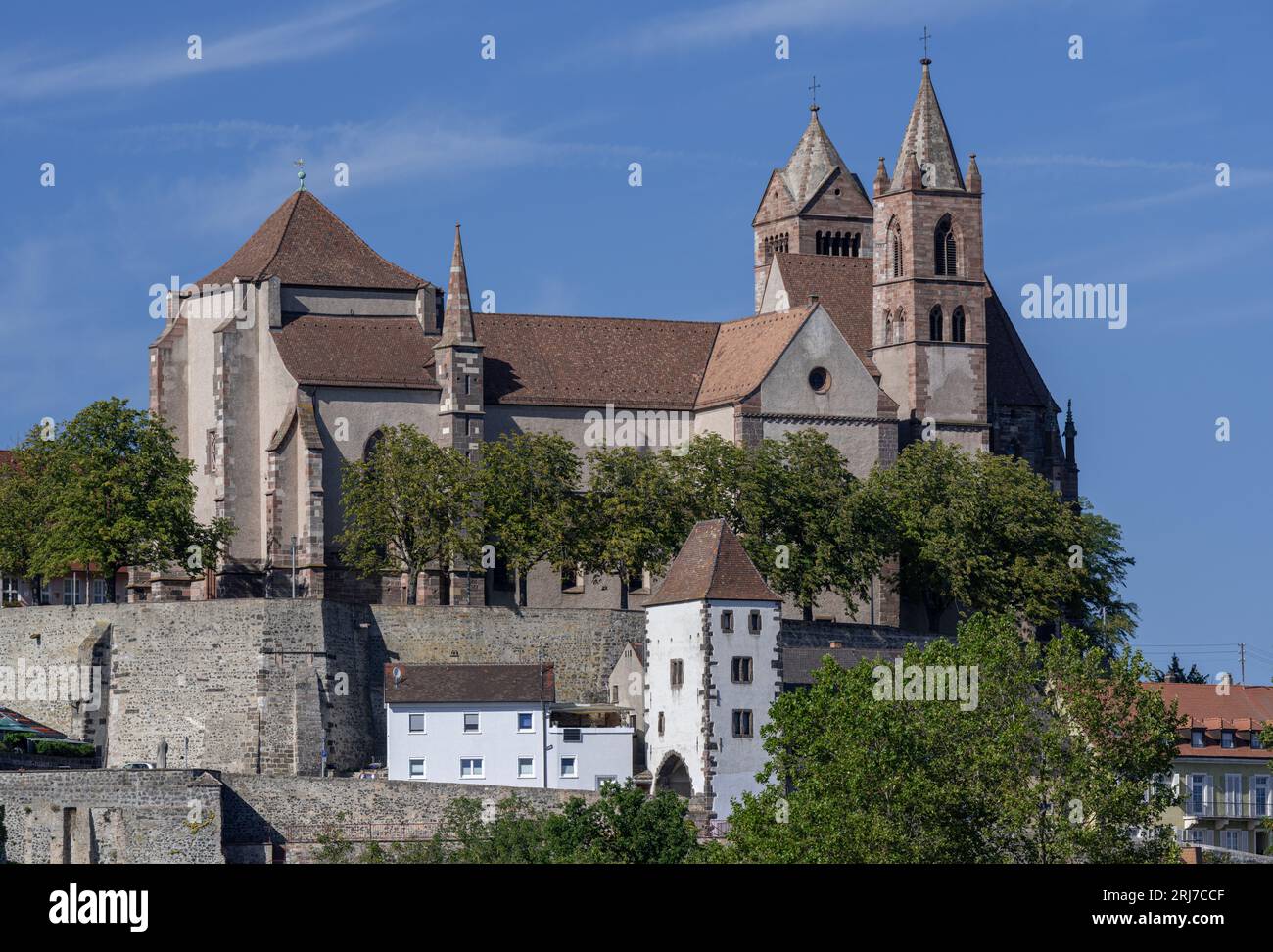 View across river Rhine to the Münsterberg hill with St ...