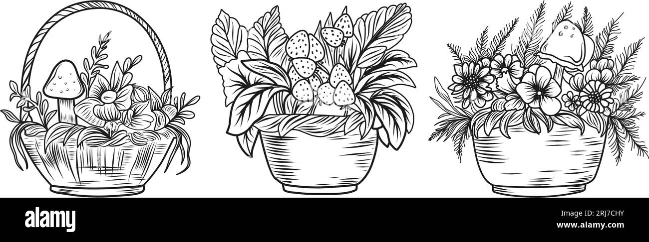 Mushrooms coloring page. Autumn composition linear illustration.Autumn ...