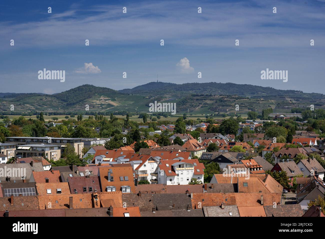 View over the center of Breisach am Rhein from Eckartsberg to black ...
